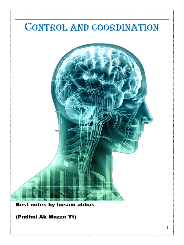 Control and Coordination | PDF | Neuron | Plant Hormone