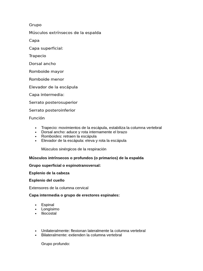 Documento (7) Mjs | PDF | La columna vertebral | Vértebra