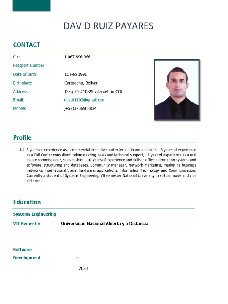 CV David Ruiz 2023 English | PDF | Business | Business Economics