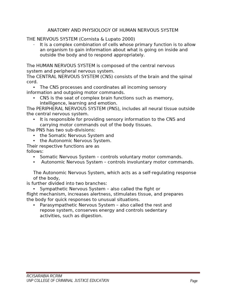 Human Nervous System Overview | PDF | Nervous System | Autonomic ...