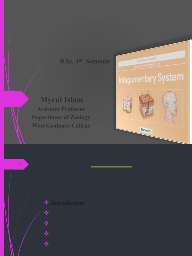 1686204292 | PDF | Skin | Epidermis