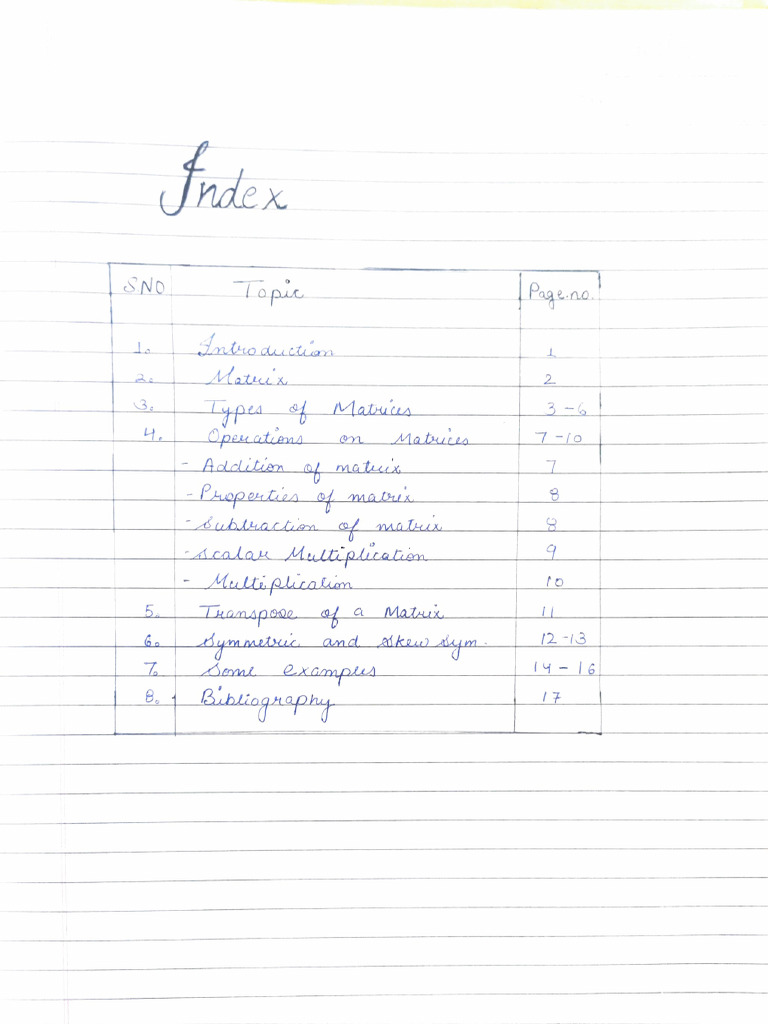 Class 12 Maths Project File 2023-24 | PDF