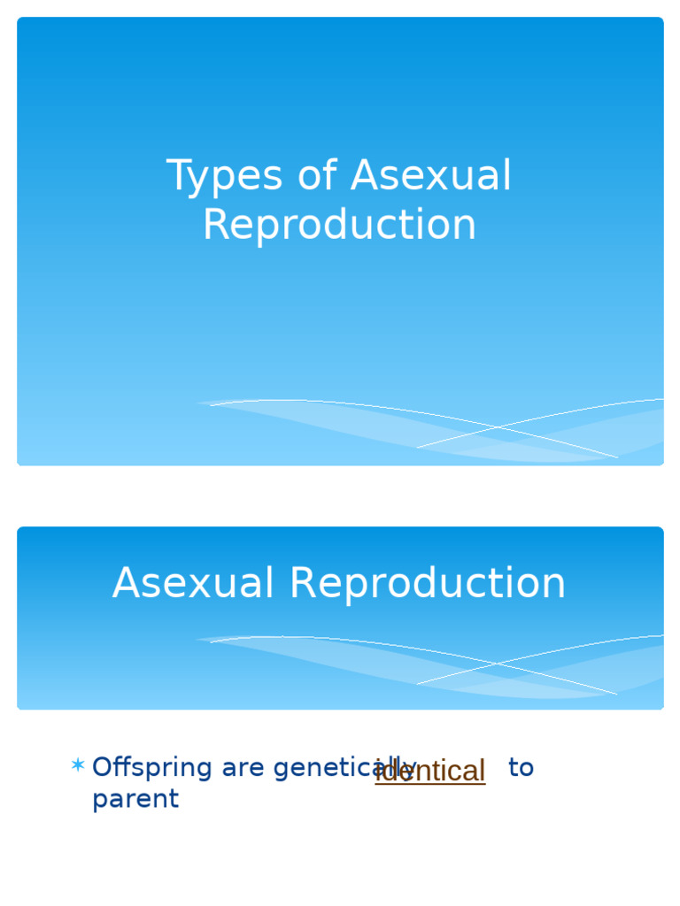 Asexual Reproduction types | PDF | Cloning | Reproduction