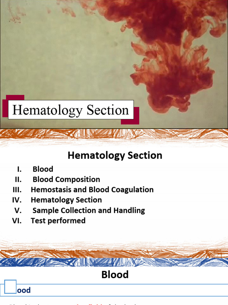hematology | PDF | White Blood Cell | Granulocyte