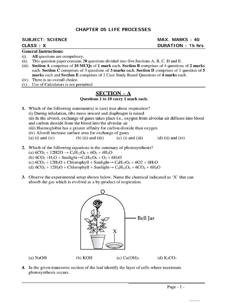 Test Life Processes | PDF