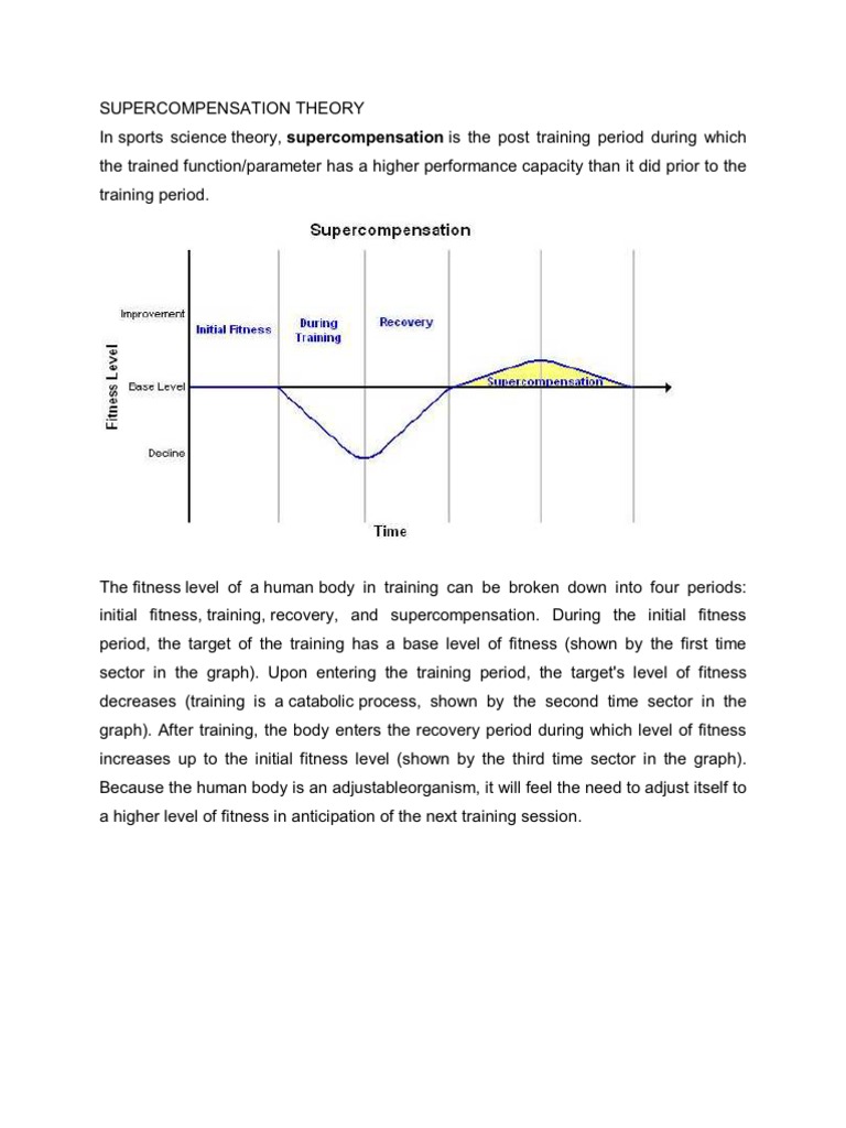 Supercompensation in Sports Training | PDF | Recreation | Sports Science