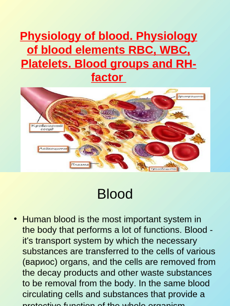 Physiology of Blood. Physiology of Blood Elements RBC, WBC, Platelets ...