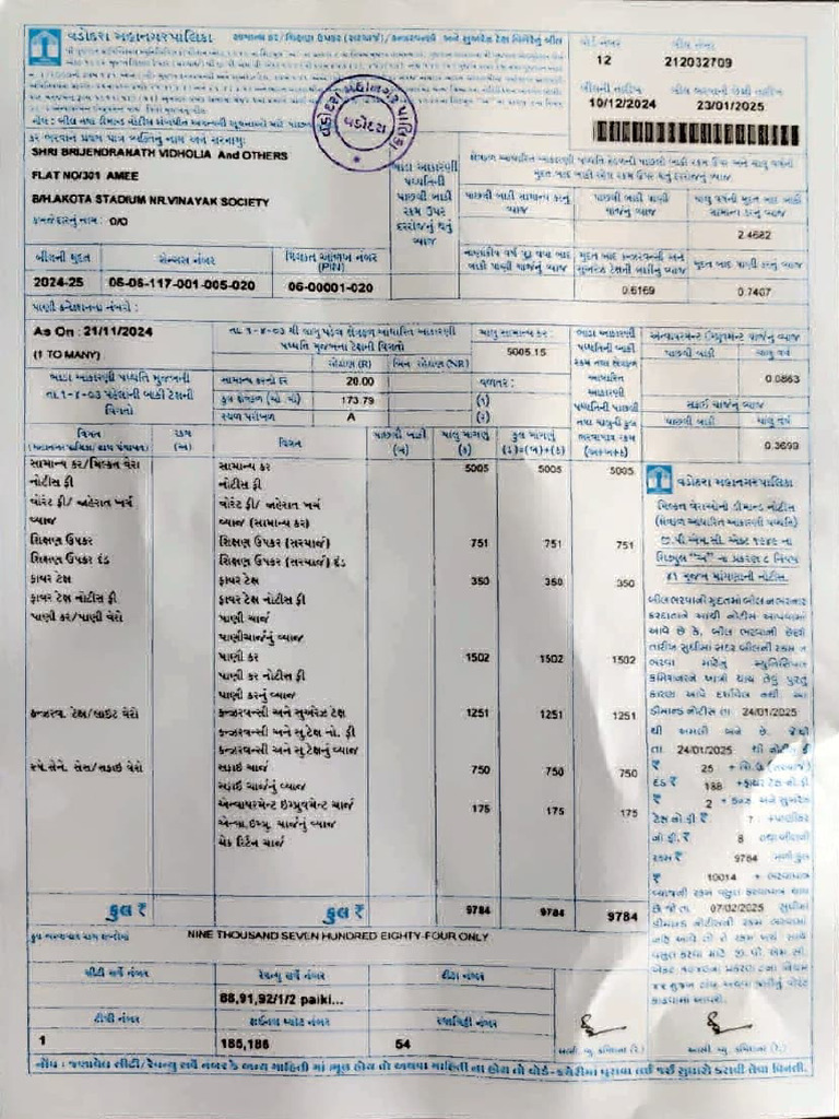 Financial Summary for 2024-25 | PDF