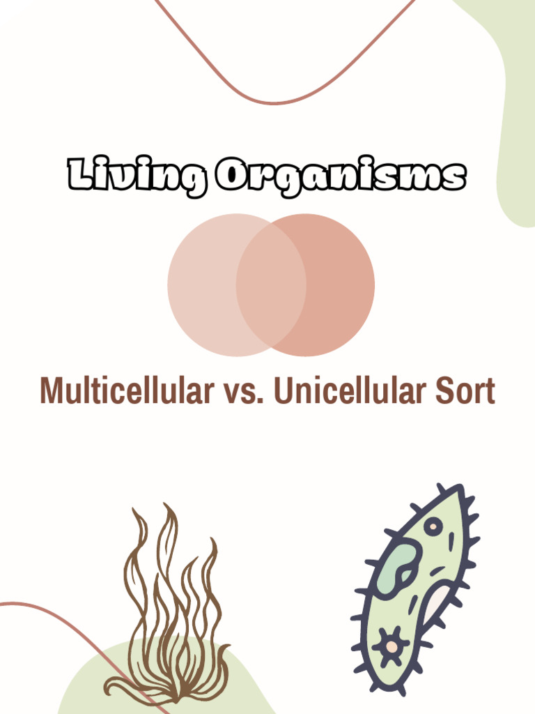 Unicellular vs Multicellular Overview | PDF | Cell (Biology) | Life ...