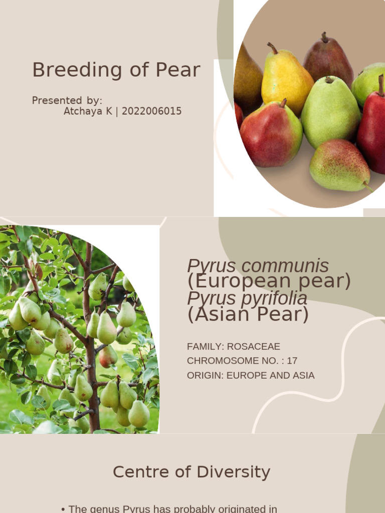 FSC202 - Breeding of Pear | PDF | Pear | Flowers