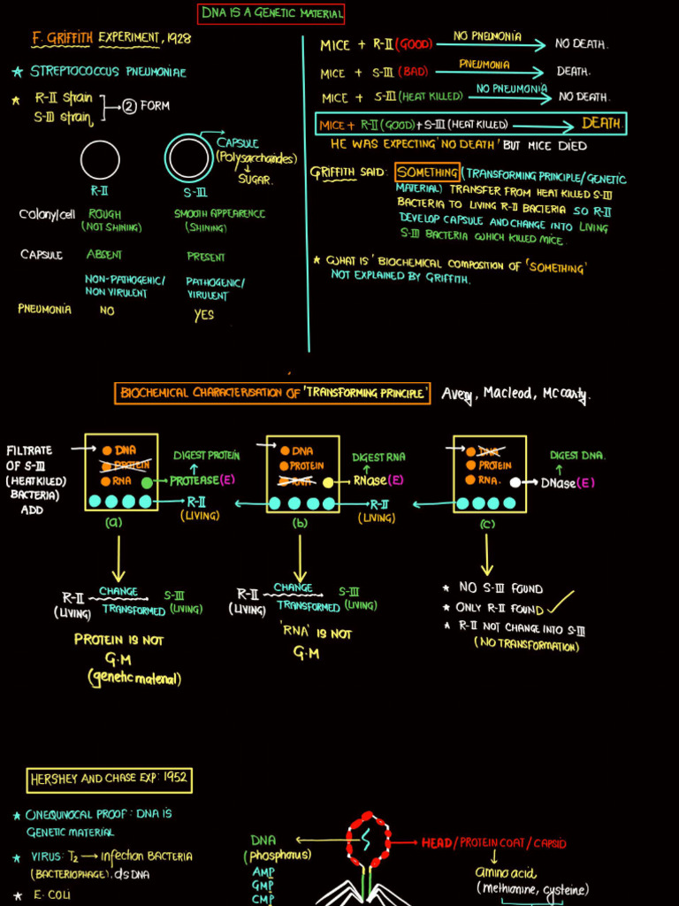 Molecular Basis of Inheritance 01 - Class Notes - Yakeen NEET 2.0 2025 ...