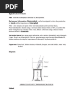 Testing Leaves for Starch | PDF | Photosynthesis | Leaf
