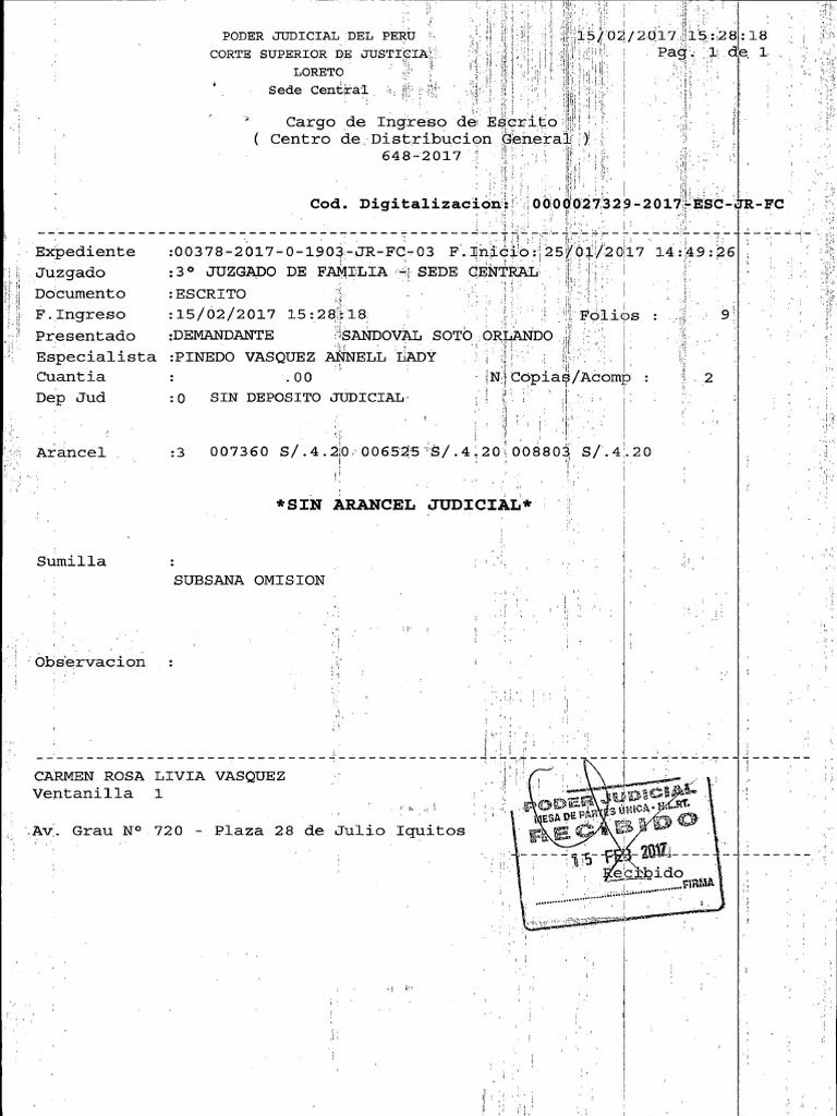 Subsana Omision de La Demanda | PDF | Costo de la vida | Justicia