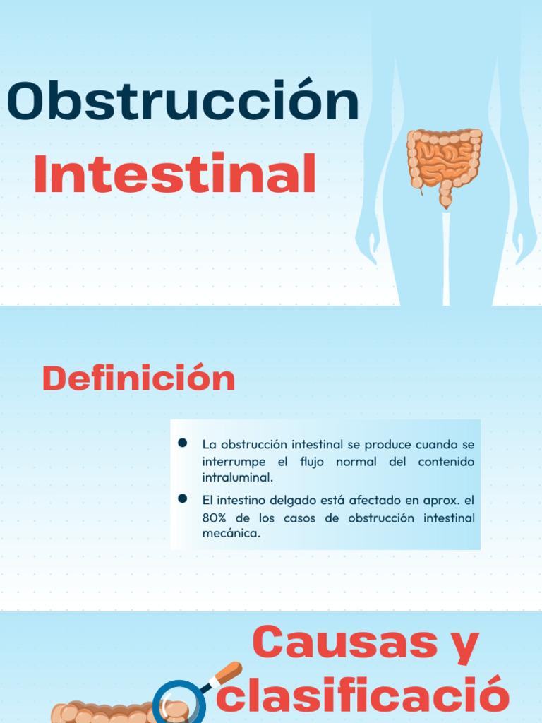 Causas y Clasificación de Obstrucción Intestinal | PDF | Isquemia | Diarrea