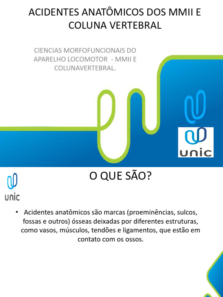 Acidentes Anatômicos dos MMII e Coluna | PDF