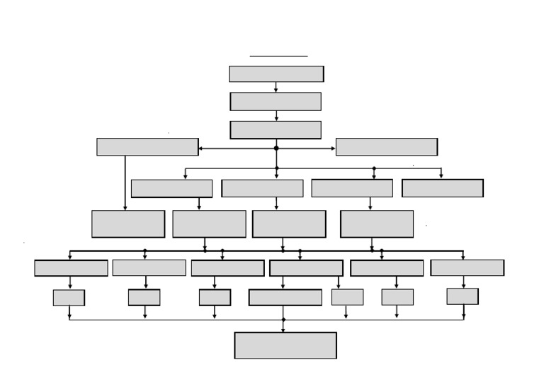 Organogram Chart 2023 24 | PDF