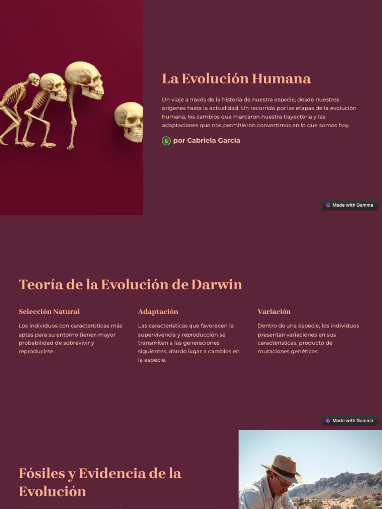 Historia de Homo Sapiens y su Evolución | PDF | Homo | Evolución humana