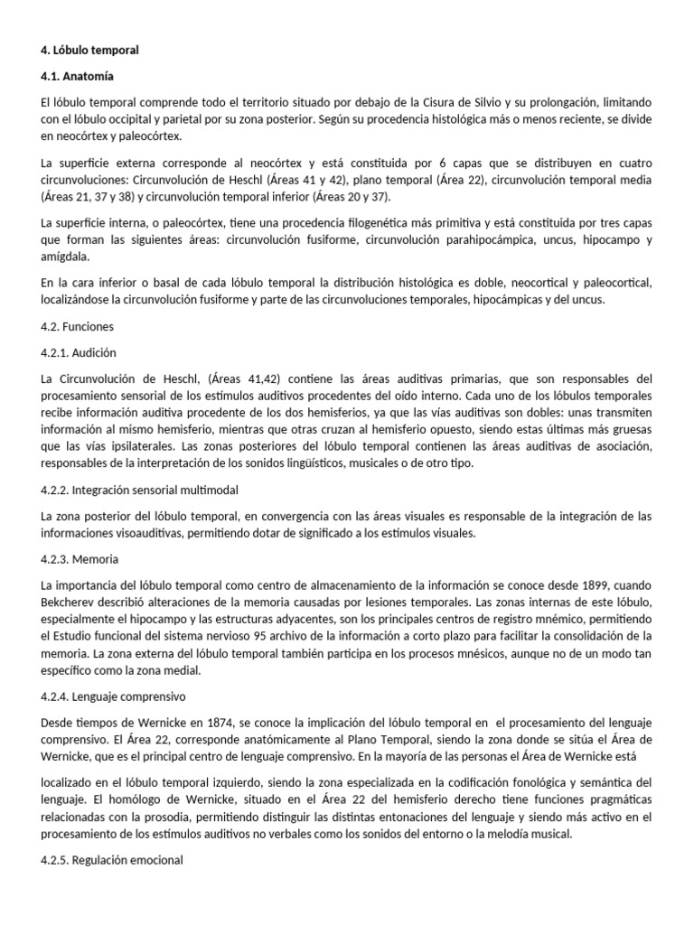 Anatomía y funciones del lóbulo temporal | PDF | Lóbulo temporal | Cerebro