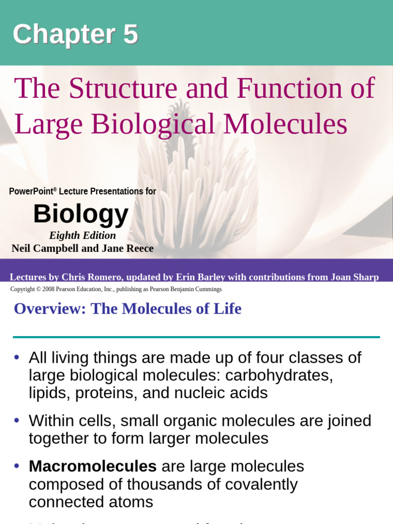 Chapter 5. The Structure and Function of Large Biological Molecules ...