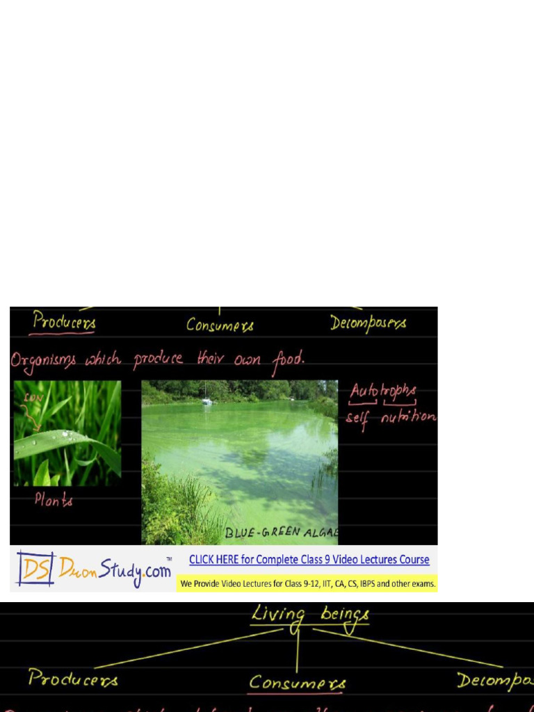 CH15 Bio Our Environment | PDF