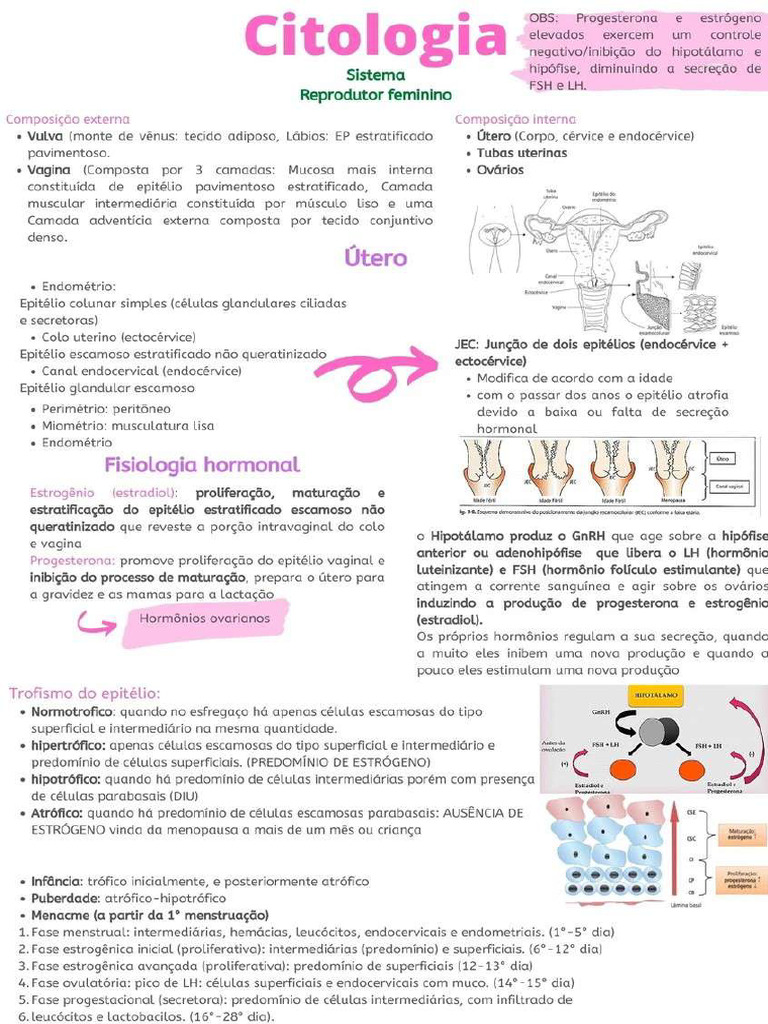 resumos-da-area-da-saude-em-pdf-resumos-de-enfermagem | PDF
