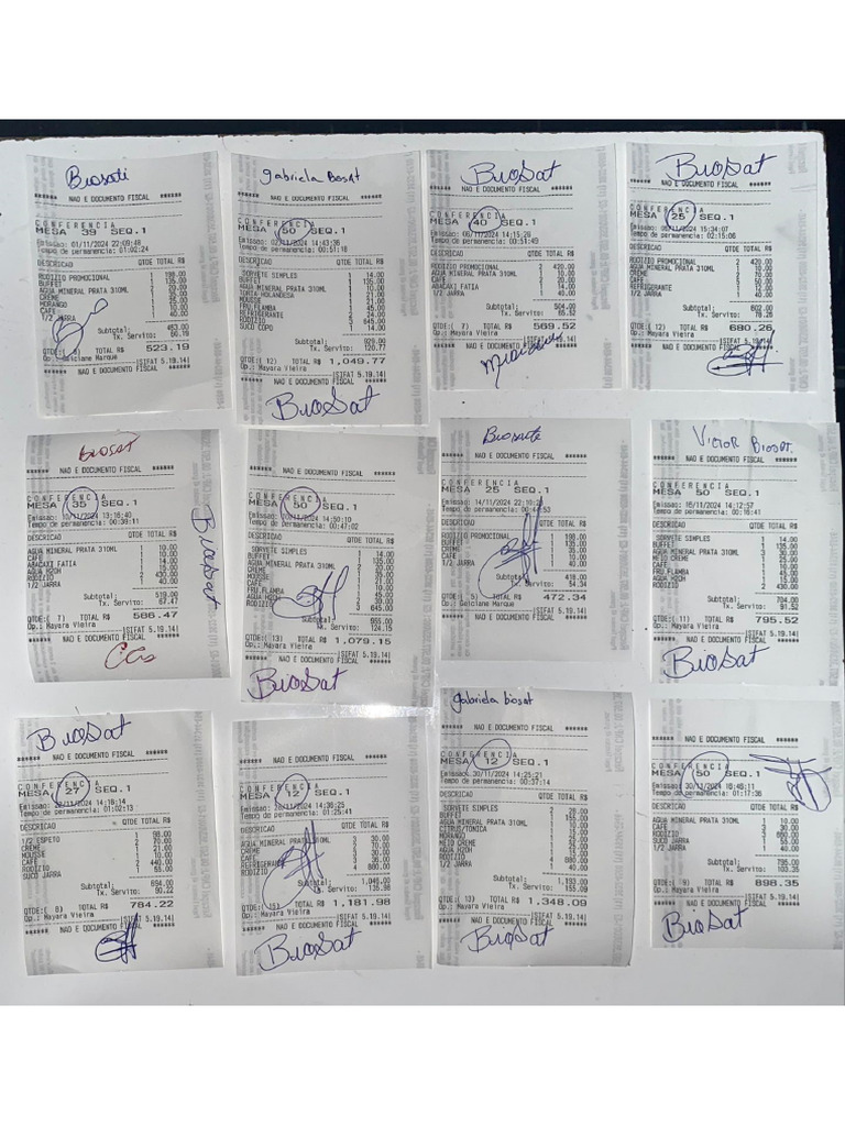 BIOSAT - COMANDAS 11-2024 | PDF