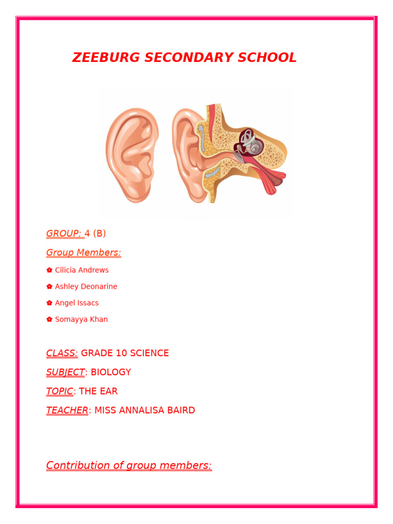 Biology_group_assignment_(the_ear)[1] | PDF | Ear | Hearing