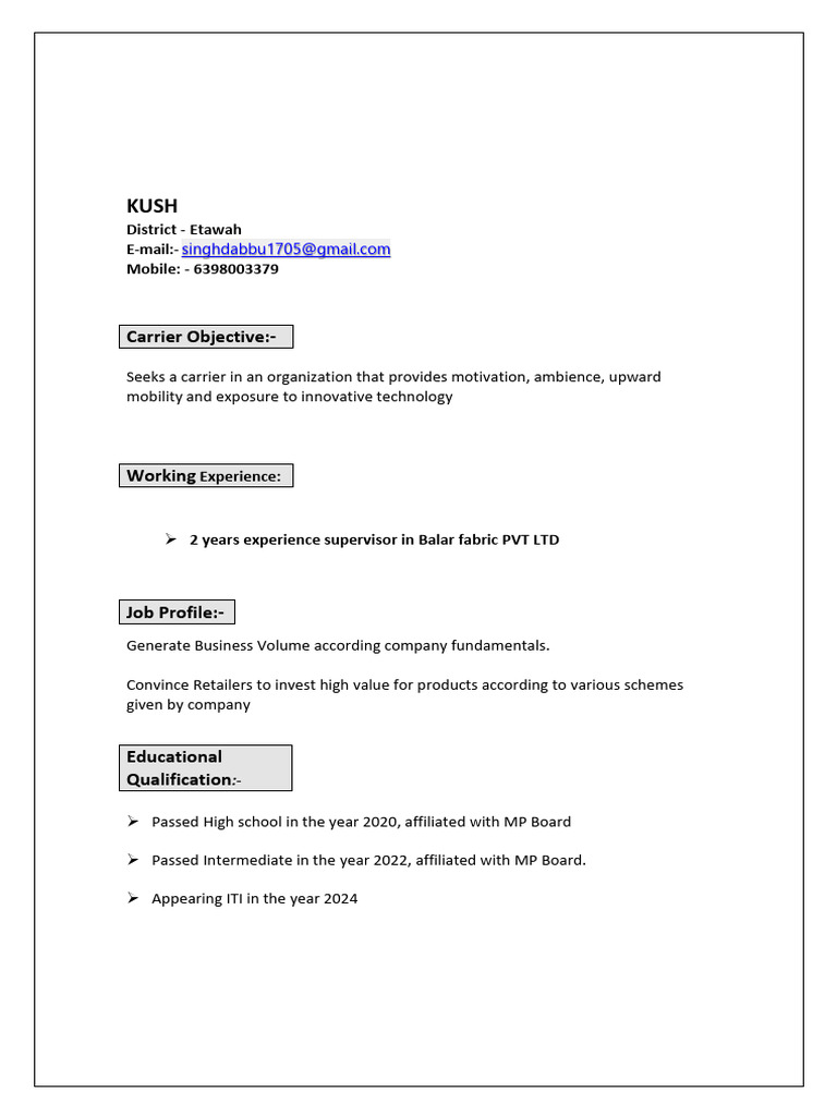 Entry-Level Job Seeker Profile | PDF