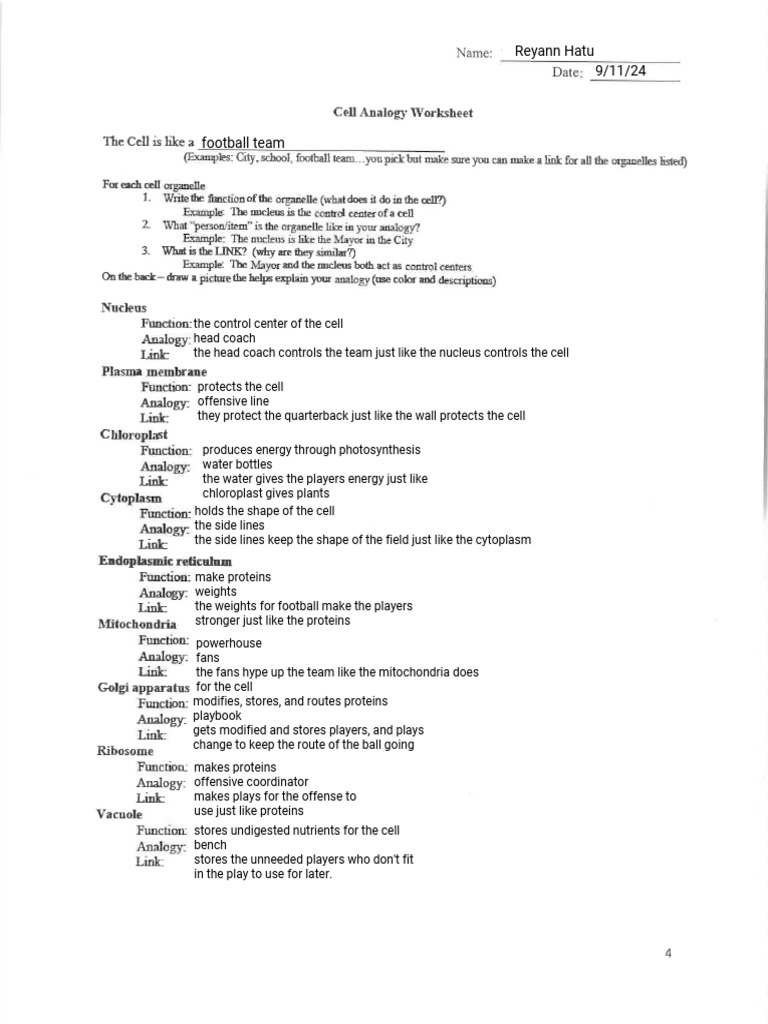 WKST Cells5 0911 | PDF
