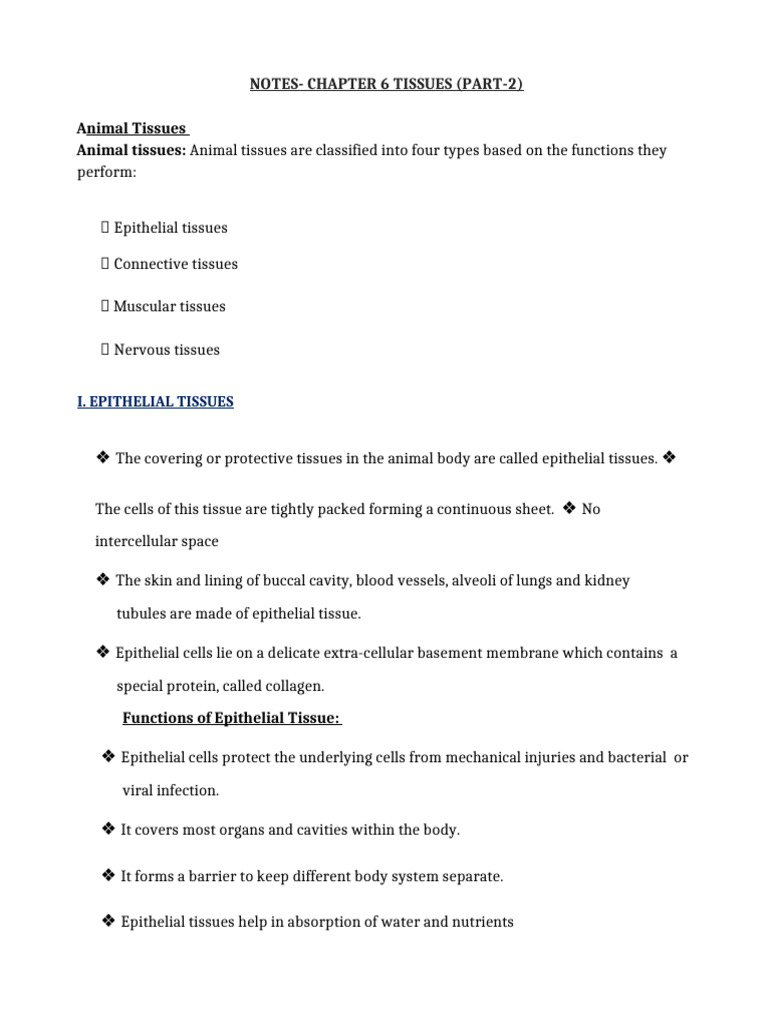 NOTES - Chapter 6 Tissues - Part 2 (Animal Tissues) | PDF | Epithelium ...