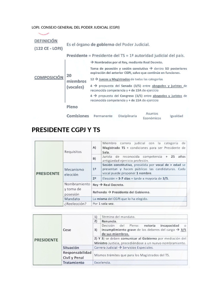 ESQUEMAS LOPJ Tema 4 OPOELITE | PDF