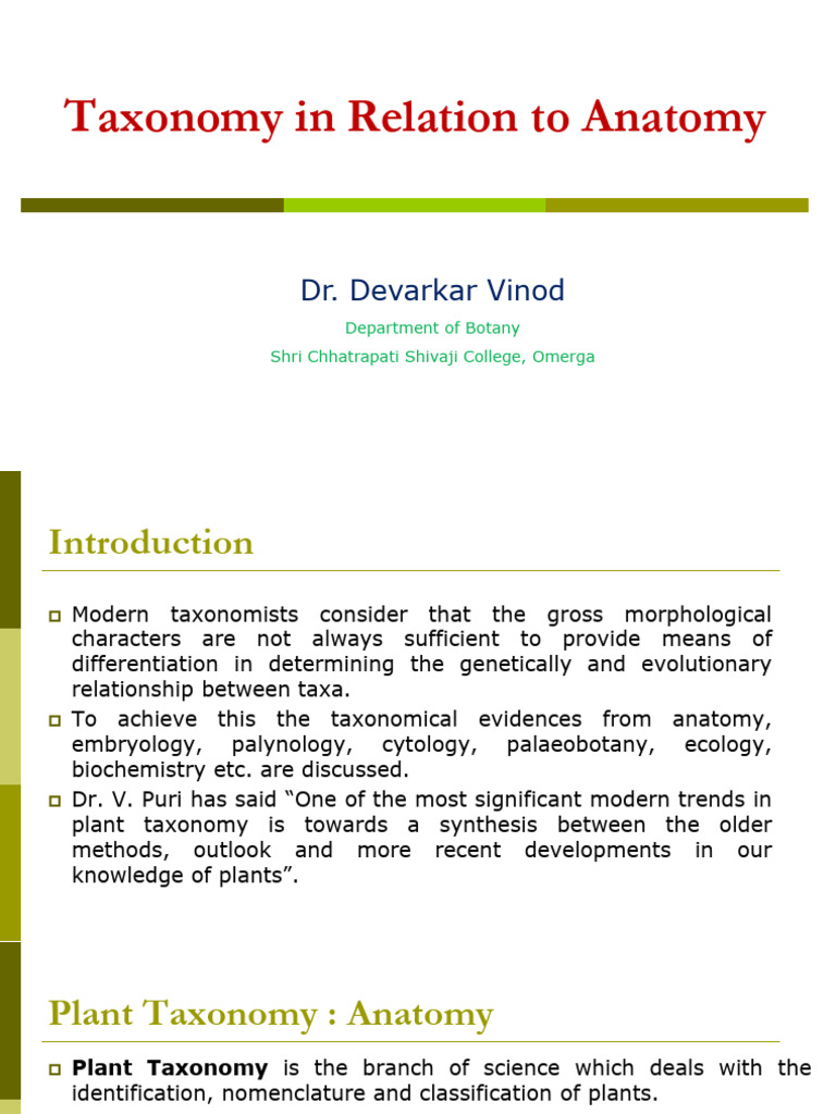 Anatomy's Role in Plant Taxonomy | PDF | Plant Stem | Taxonomy (Biology)