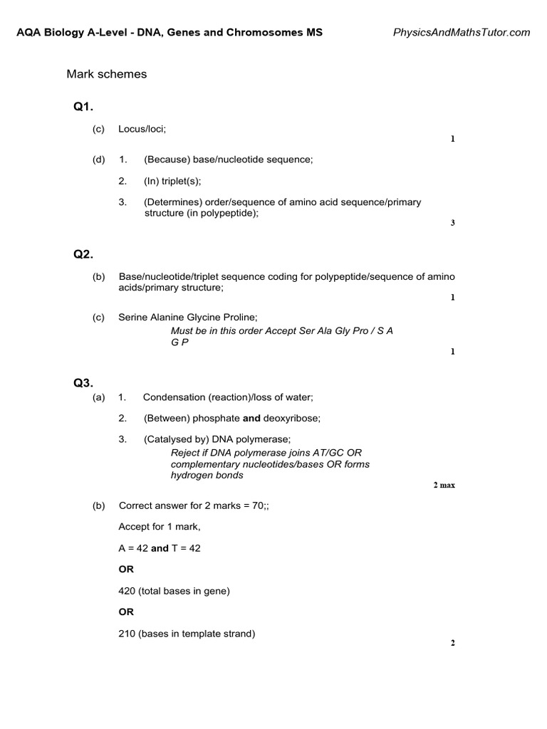 4.1 DNA, Genes and Chromosomes MS | PDF | Dna | Gene