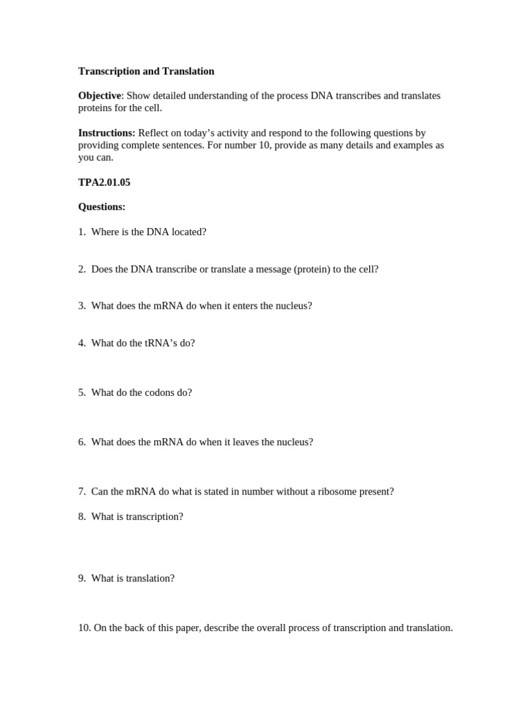 Transcription and Translation Writing Assignment | PDF