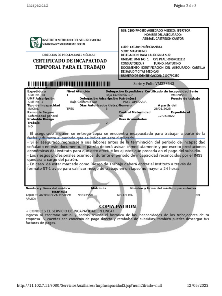 Incapacidad Imss Editable | PDF