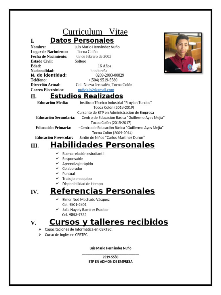 Curriculum Vitae MARIO | PDF