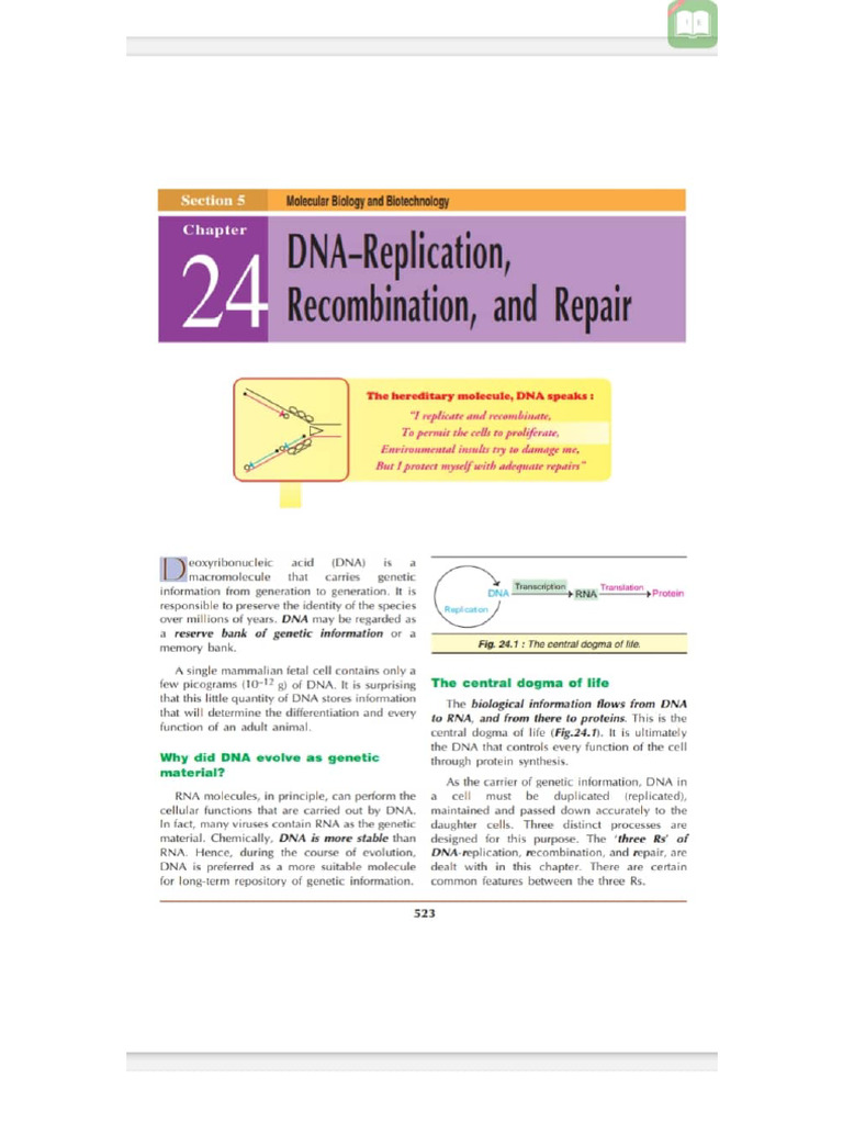 Molecular Biology Notes Promoters, Transcriptions, Translations ...