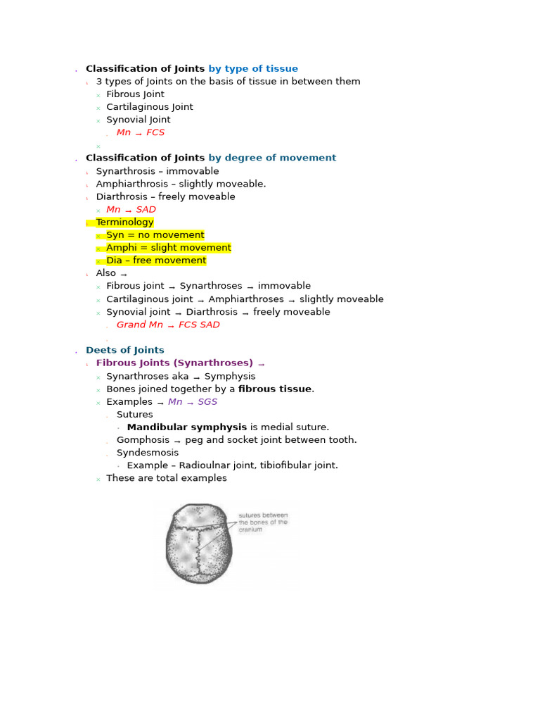 Joint Types And Movements Pdf Anatomical Terms Of Motion Cartilage