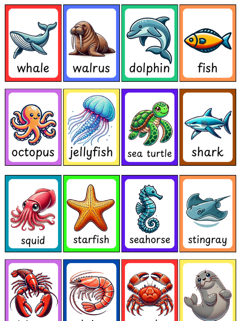 Sea Creatures Flashcards V1 | PDF