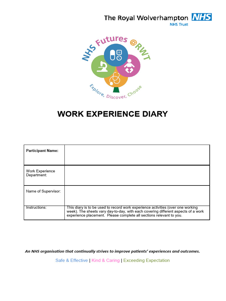 Work Experience Relfective Diary | PDF