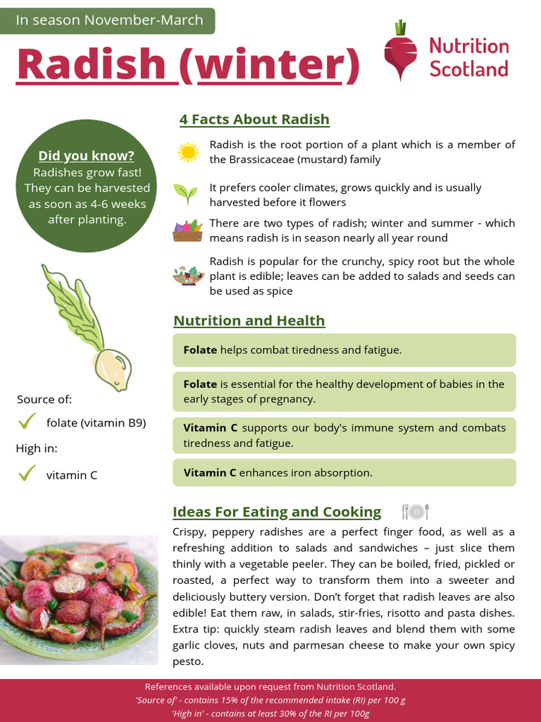 Radish-Factsheet | PDF | Asian Cuisine | Food And Drink Preparation