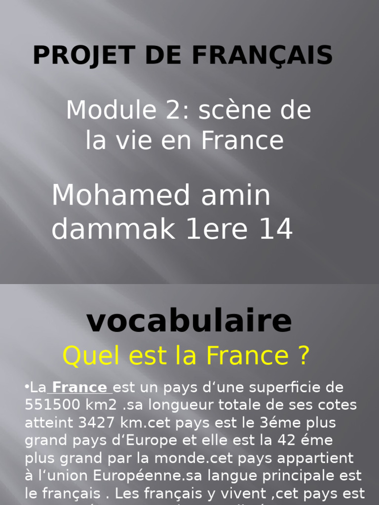 Projet de Français : Vie en France | PDF