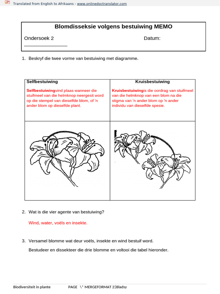 Ondersoek 2 Bestuiwing - Memo 1709196349 | PDF