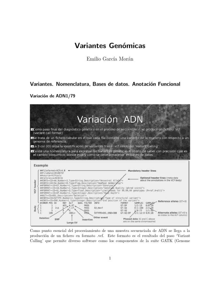 Nomenclatura HGVS en Variantes Genómicas | PDF | Centro Nacional de ...