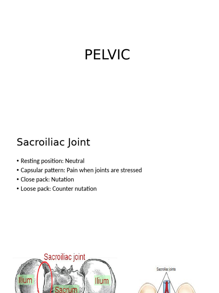 Pelvic | PDF | Pelvis | Anatomical Terms Of Motion