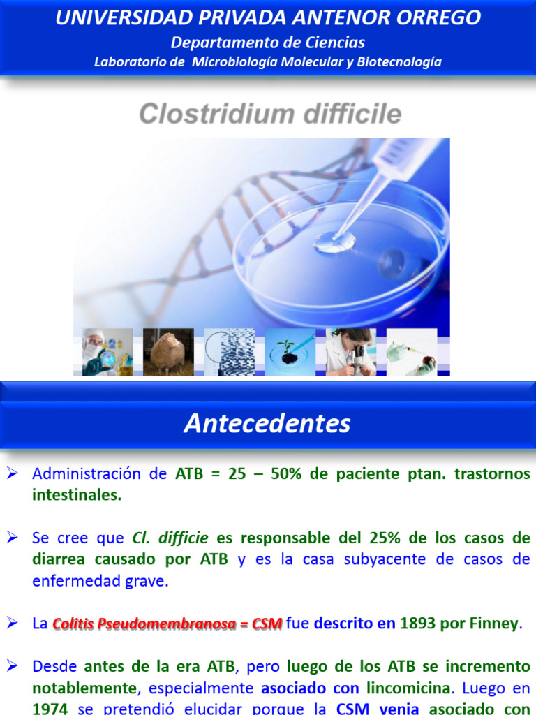 005b Clostridium Difficile | PDF | Diarrea | Especialidades Medicas