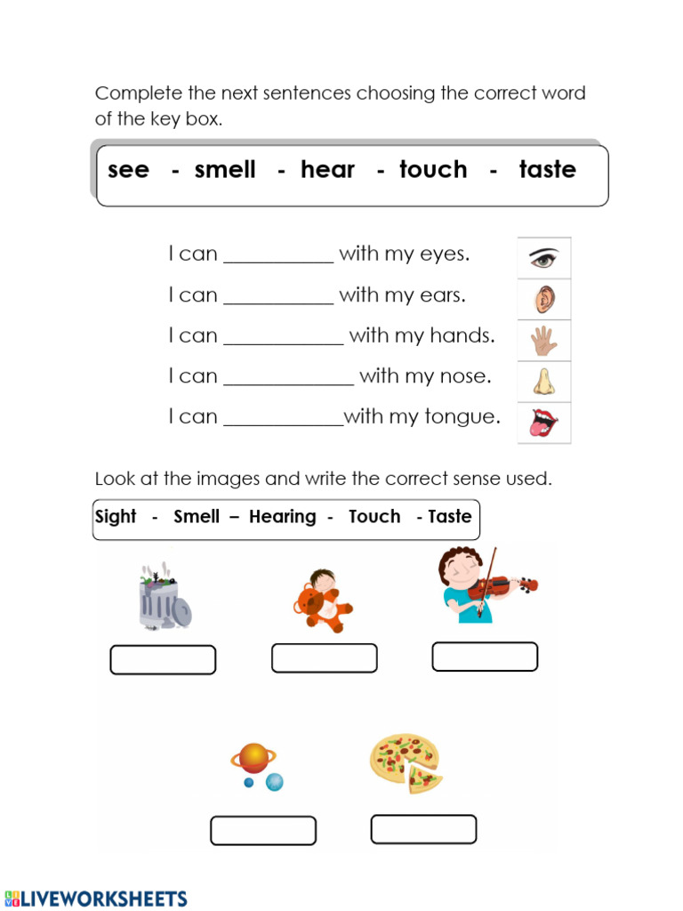 Sense Sheet 1 | PDF