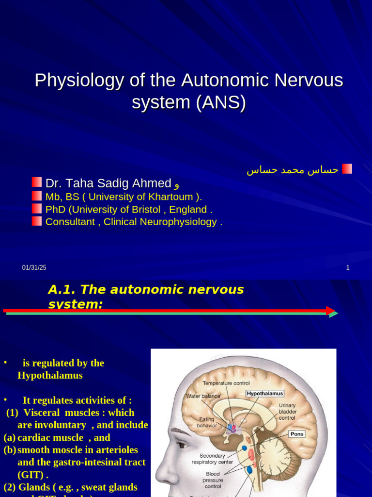 _ANS (Dr.Taha) | PDF | Acetylcholine | Autonomic Nervous System