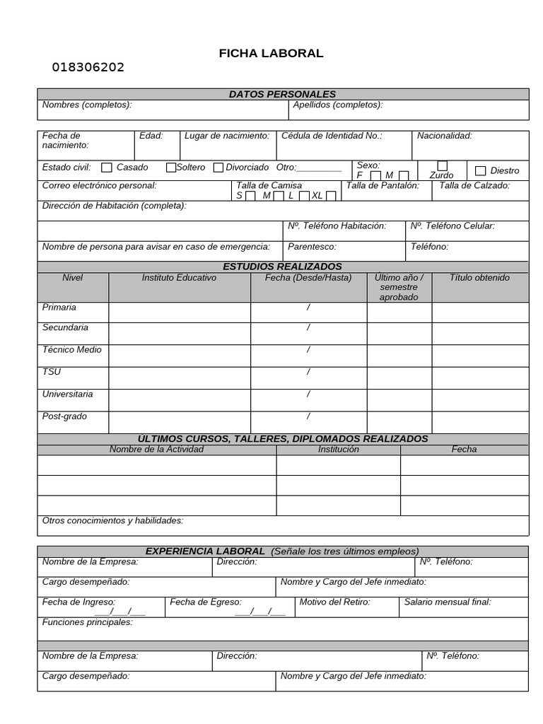 Ficha Laboral 2025 | PDF