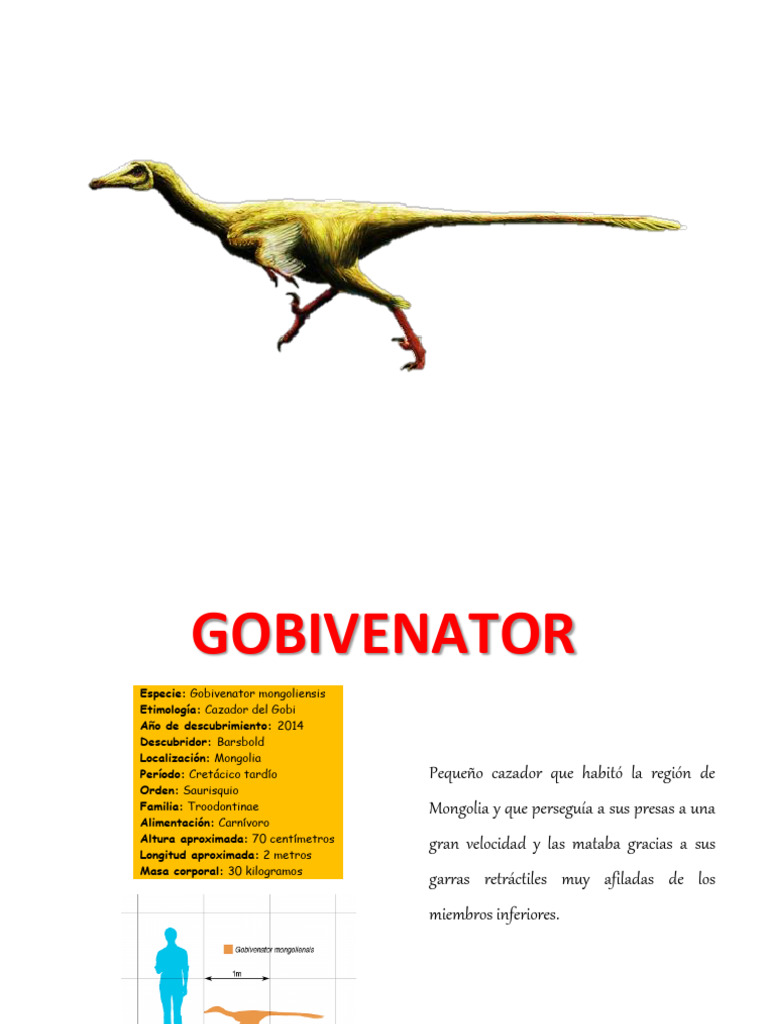 Gobivenator | PDF